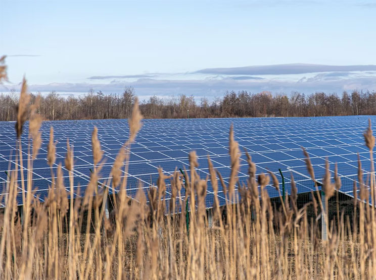 Top-Notch Grid-Tied Solar System Services in Plano, TX | Solar Edge ...